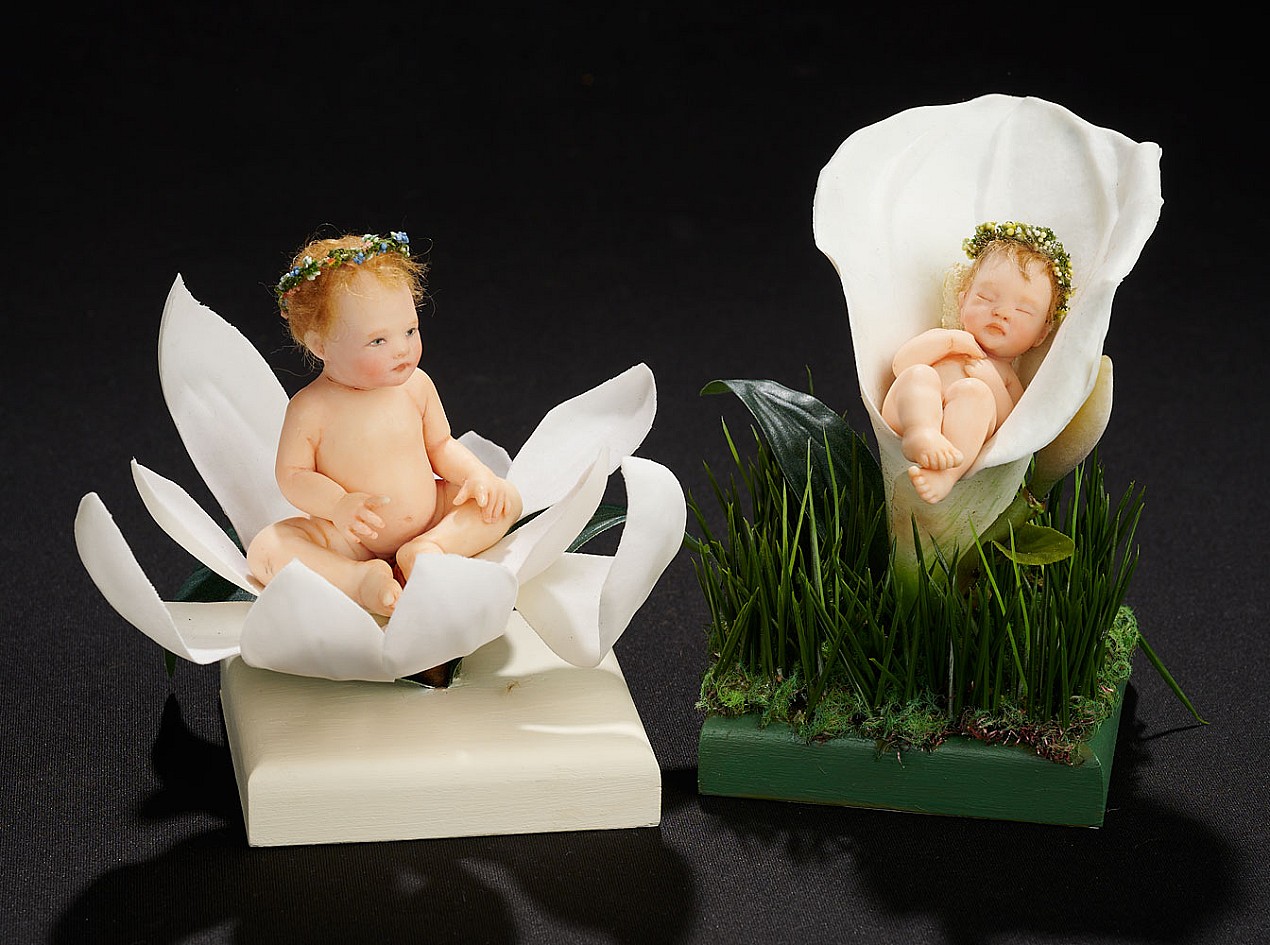 Two Miniature Petal Babies by Anne Hierenymus